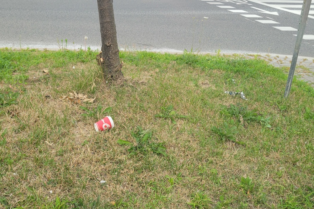 Tracking Trash - Using GIS to Promote Suburban Sustainability in Durham ...